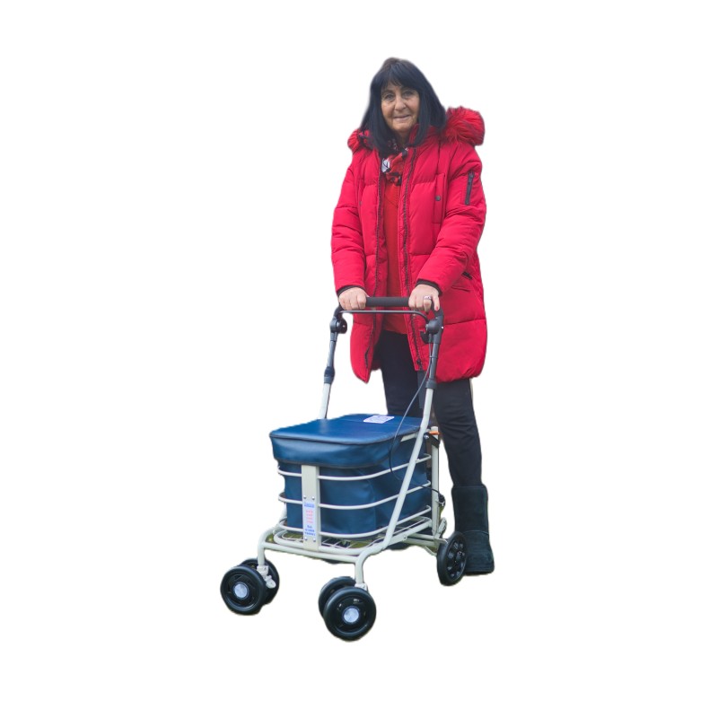 Backrest & Seat Shopping / Walking Trolley - Grey