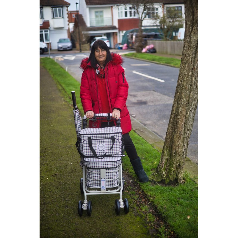 The Seated Shopping / Walker Trolley - Red